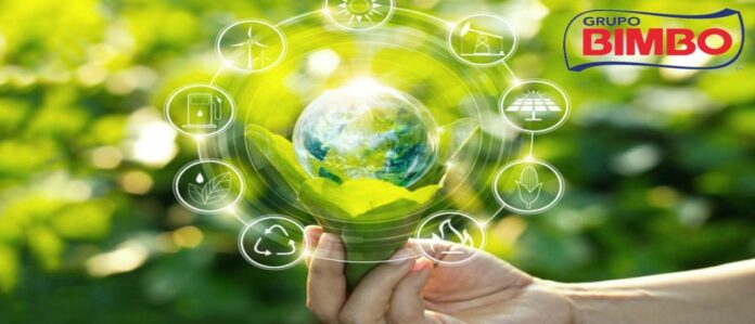 Grupo Bimbo acelera hacia un futuro sustentable en 2024 | Voz de las Empresas